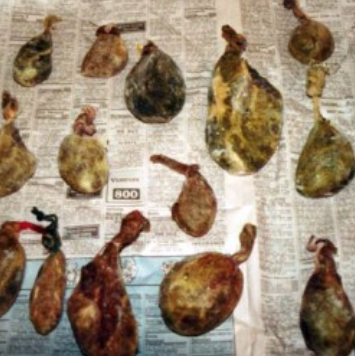 Bear—The High Stakes of Bear Gall Bladder Trafficking: Homicide ...