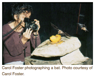 Podcast Wildlife Documentaries, Carol Foster – Laurel Neme