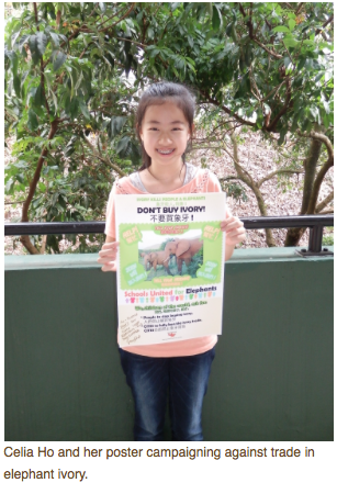 Podcast Celia’s Campaign Against Elephant Ivory Trade, Celia Ho ...