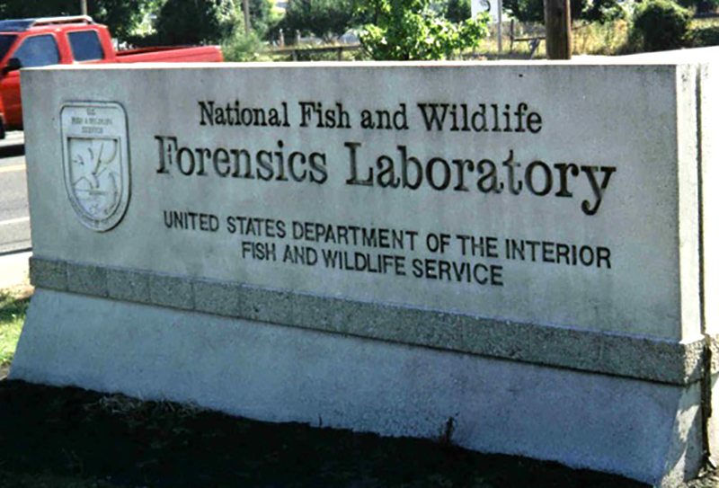 Wildlife Forensics – Laurel Neme